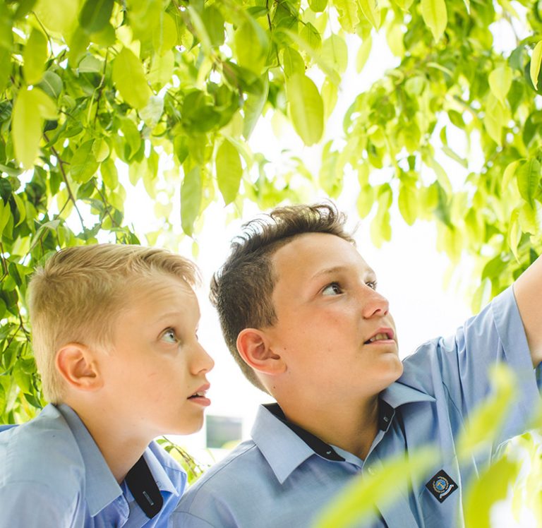 Virtual Tour Booking – Tour Citipointe